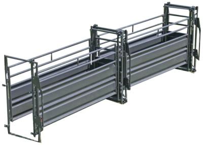 China Easy Access Portable Cattle Alleyway , 14 Gauge Sheet Adjustable Cattle Alley for sale