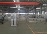 China Durable Livestock Handling Equipment 16 Inch Long Cattle Sweep Alley Systems for sale