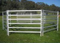 China Extremely Long Lasting Horse Corral Panels Heavy Gauge Carbon Steel Material for sale