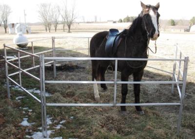 China Extremely Long Lasting Horse Corral Panels Heavy Gauge Carbon Steel Material for sale