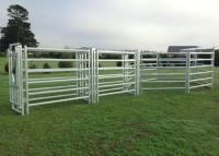 China Galvanized Pipe Fence Panels , High Safety Livestock Metal Fence Panels for sale