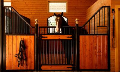 China Horse Stable Front Panel with Plastic kick Panels Horse Stall for sale