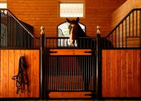 China Stable European Horse Stalls Solid Welded 12 Gauge Steel Tubular Frame Construction for sale