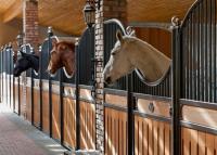 China Interior Solid Back European Horse Stalls 12 Feet Length 220cm Height for sale