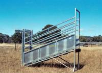 China Safety Rail Cattle Loading Ramp Durable Full Hot Dipped Galvanised Body for sale