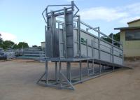 China Safety Rail Cattle Loading Ramp Durable Full Hot Dipped Galvanised Body for sale