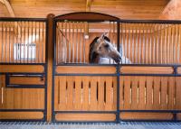 China Safety Galvanized Stable Horse Yard Panels /  Horse Stall Panels Inside And Out With Bamboo Board for sale