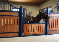 China Durable Commercial Grade Metal Barn Buildings For Horse 4.0 x 2.2m for sale