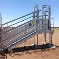 China 3.2 M Fixed Cattle Loading Ramp Portable Cattle Loading Ramp For Sheep Goats Cattle for sale