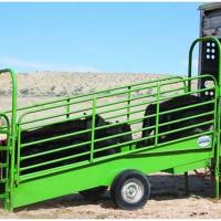 China Australian Galvanized Cattle Loading Ramp / Mobile Cattle Loading Ramp Easy Installing for sale