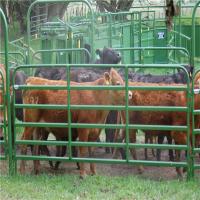 China Portable Sheep Panels / Steel Cattle Fence Panels Round Pen Fence Corral Panels for sale