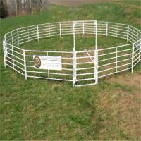 China Galvanized Welded Pipe Heavy Duty Cattle Panels Cattle / Corral Panels For Horse for sale