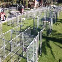 China Powder Coated Metal Livestock Fence Panels Farm Cattle Rail Double Gate for sale