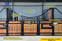 China Low Mesh Portable Cheap Wooden Farm Riding Horse Equipment Stables Horse Stall Front for sale