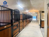 China Self-operated Factory Good Quality Metal Horse Stall Doors Safe Comfortable Breathable Customizable for sale