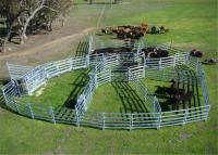 China Custom Size Livestock Portable Cattle Fence Panels Square / Round / Oval Shape for sale