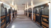 China Swing Door Kit Bamboo Slat European Horse Stalls for sale