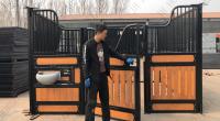 China Swing Door Kit Bamboo Slat European Horse Stalls for sale