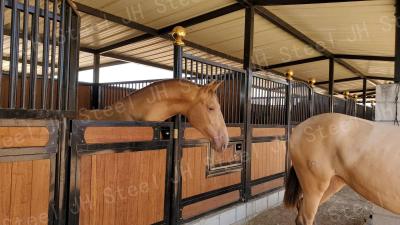 China Black Powder Coated Bamboo Pine Q235 Horse Stall Fronts for sale