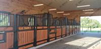 China Hinged Powder Coated High Density Q235 European Horse Stalls for sale