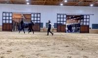 China Durable Horse Stall Fronts Temporary Interlock Double Dutch Door for sale