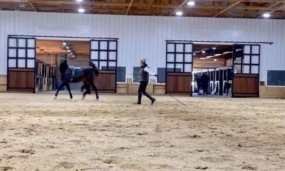 China Double Sliding Barn End Door Horse Stable Panels Custom Made Size Bamboo Infill for sale