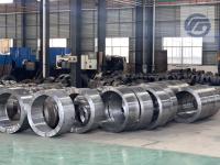 China 20CrMnTi X46Cr13 Feed Machinery Spare Parts Stainless Steel Biomass Pellet Ring Die for sale