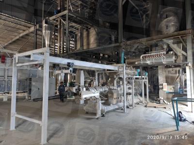 China 10tph Fish Feed Production Line Twin Screw Extruder Fish Pellet Making Machine for sale