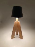 China Rechargeable Wooden Base Battery Operated Night Light For Nursery 200lm for sale