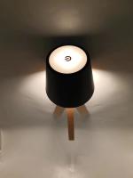 China Rechargeable Wooden Base Battery Operated Night Light For Nursery 200lm for sale