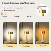 China Rechargeable Battery Powered Night Light For Kids Dumbbell Table Lamp Dimming CCT for sale