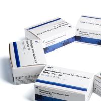 China Monkeypox Virus Nucleic Acid Detection Kit (Real-Time PCR Method) - CE Certified for sale