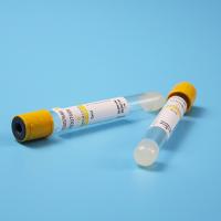 China Disposable Pet Vacuum Blood Collection Tube , Yellow Gel Clot Activator Tube for sale