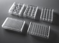 China Flat Bottom 24 Multiwell Plate for sale