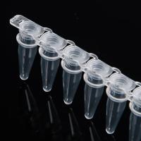 China Clear / White PCR Reaction Tube , PP 8 Well Strip Tubes Lab Use for sale