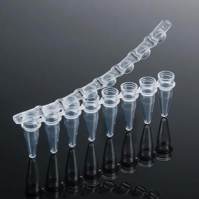 China Clear / White PCR Reaction Tube , PP 8 Well Strip Tubes Lab Use for sale