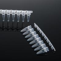 China Clear / White PCR Reaction Tube , PP 8 Well Strip Tubes Lab Use for sale