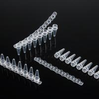 China Clear / White PCR Reaction Tube , PP 8 Well Strip Tubes Lab Use for sale