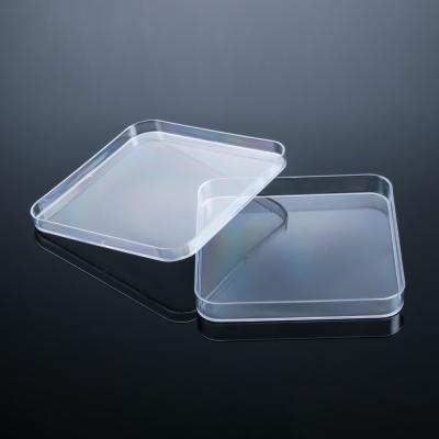 China PS Material Cell Culture Petri Dish 120mm Multiwell Tissue Culture Plates for sale