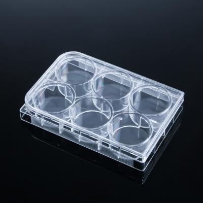 China Flat Bottom Cell Culture Petri Dish , Huaree 6 Well Cell Culture Plate for sale