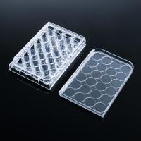 China Huaree Cell Culture Petri Dish , ISO9001 24 Well Tissue Culture Plate for sale