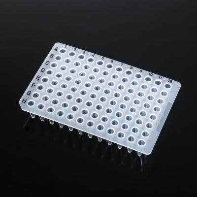 China Unskirted  Reaction 96 Well PCR Plate 0.1ml 0.2ml For Lab Consumables for sale
