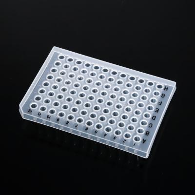 China OEM Skirted 96 Well PCR Plate Transparent clean PP material for sale