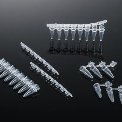 China DNase free PCR Reaction Tube , Microcentrifuge Plastic 8 Well Pcr Tube Strips for sale