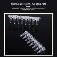 China DNase free PCR Reaction Tube , Microcentrifuge Plastic 8 Well Pcr Tube Strips for sale