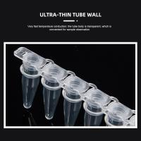 China DNase free PCR Reaction Tube , Microcentrifuge Plastic 8 Well Pcr Tube Strips for sale