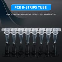 China DNase free PCR Reaction Tube , Microcentrifuge Plastic 8 Well Pcr Tube Strips for sale
