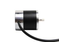 China 4000rpm 81mm 24 Volt Brushless Motor High Torque Low Rpm 0.45kg for sale