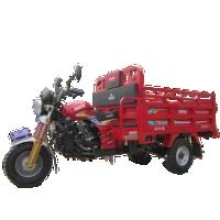 China Three Wheel Cargo Motorcycle 1000kg Load Front Rear Drum Brake 5 Speed for sale