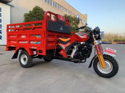 China 1000 Kg Max Loading 3 Wheel Cargo Motorcycle with CKD Packing Method and High Loading Capacity for sale